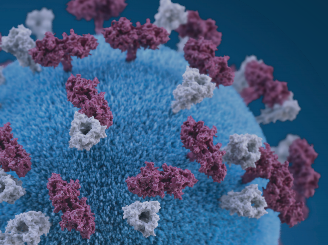 A Conversation on the 2019 Measles Outbreak: Let’s Talk About Vaccines ...