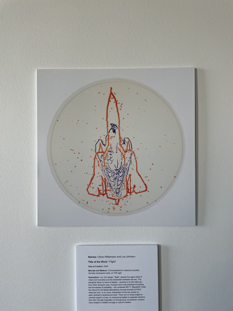 Funky Bacteria Harnessed into Art - The VanCougar