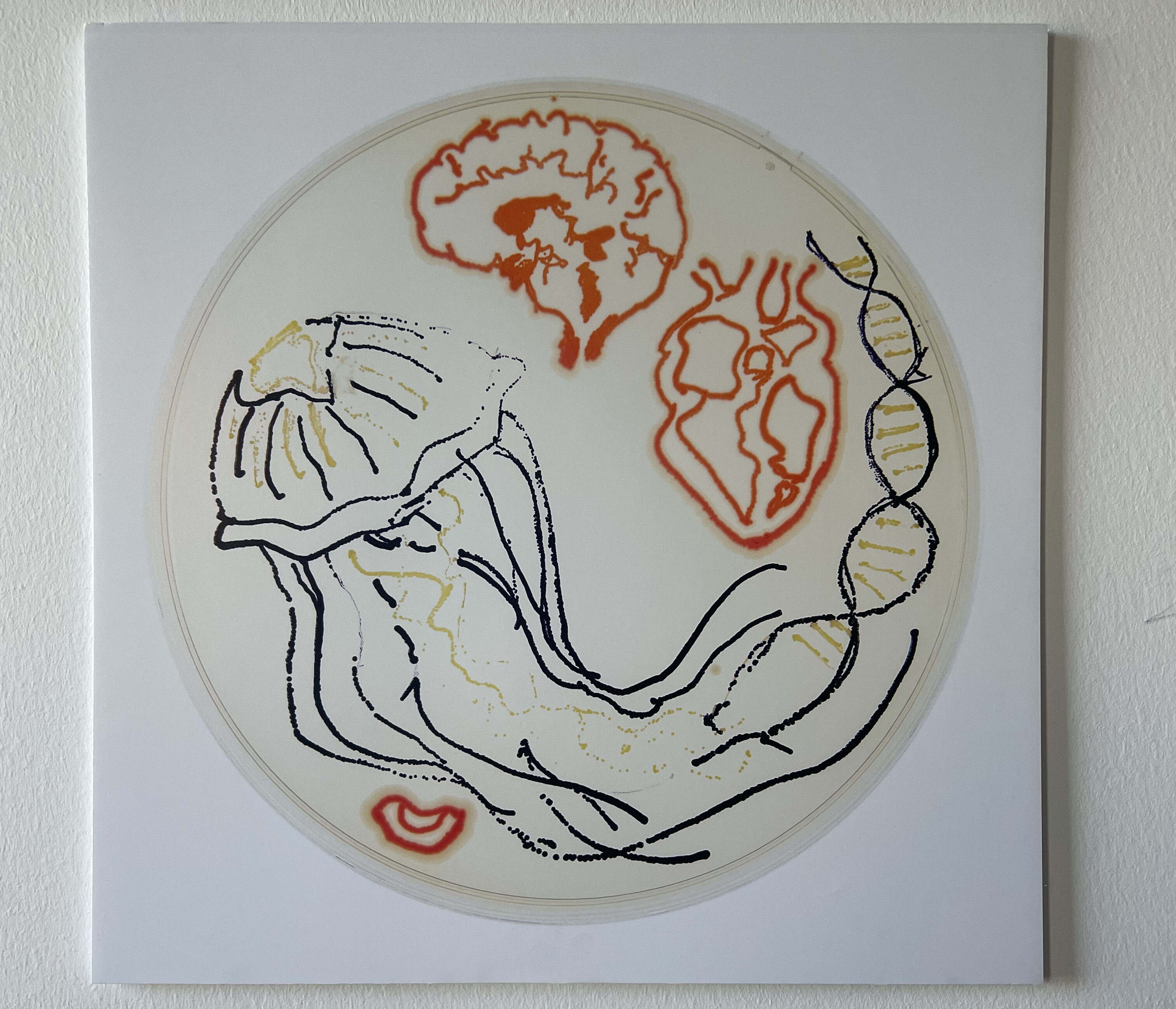 Funky Bacteria Harnessed into Art - The VanCougar